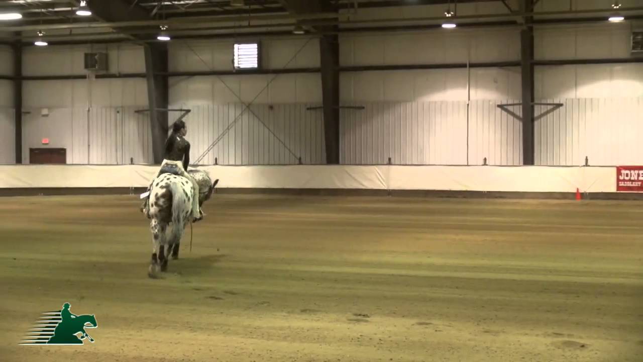 NRHA Green Reiner - YORshowdown@noon - YouTube