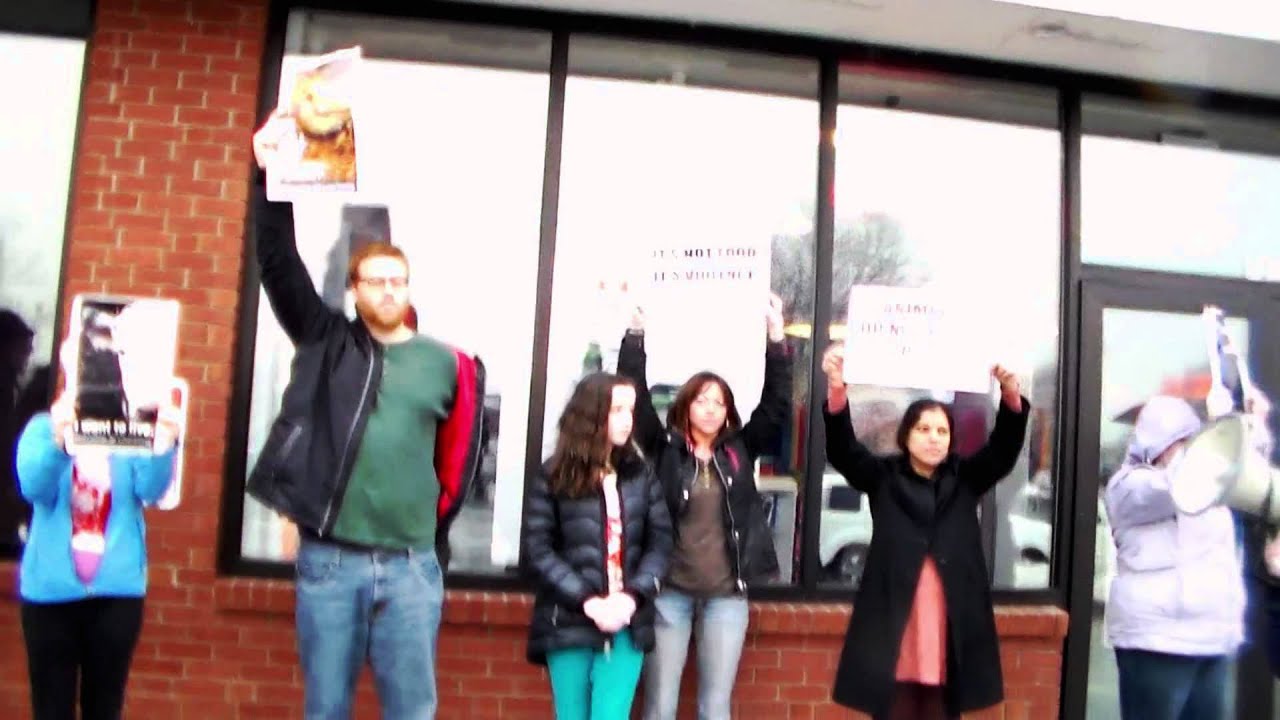Animal liberation protesters storm Chipotle restaurant in Enfield ...