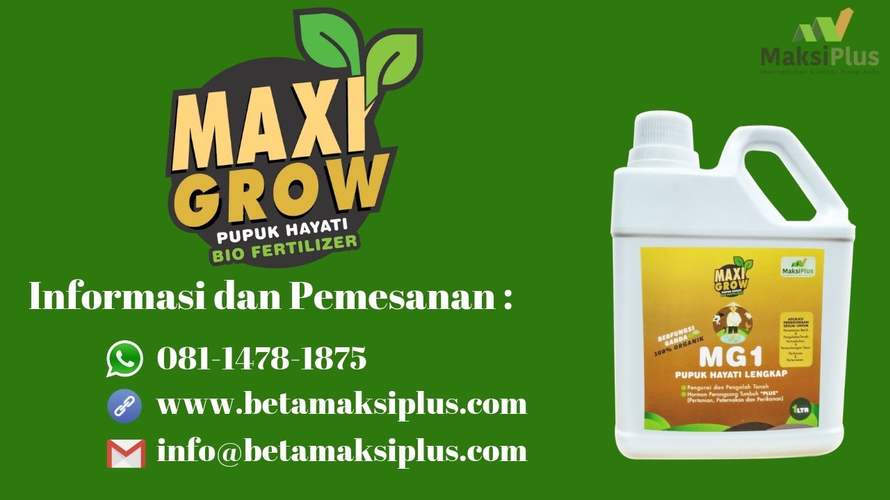 Cara Pemakaian Pupuk Hayati Maxigrow 1 - YouTube