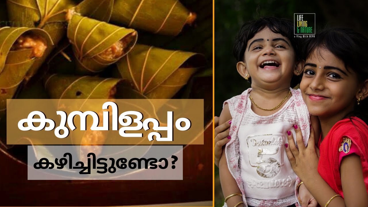 കുമ്പിളപ്പവും അൽപ്പം വീട്ടുവിശേഷങ്ങളും | COOKING & CHATTING WITH FAMILY ...
