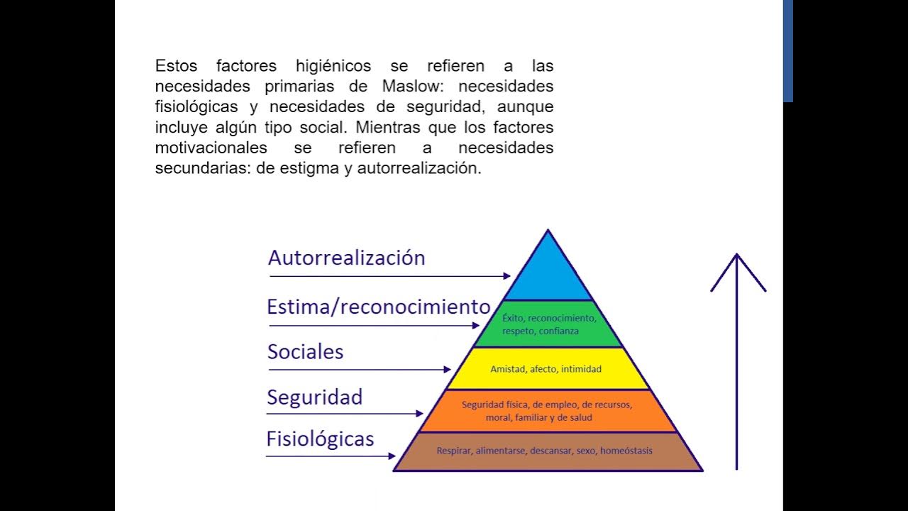 Factores higiénicos de Herzberg - YouTube