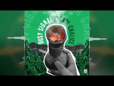 Busy Signal - Steam Chalice [Nuh Rush Records] 2024 Release