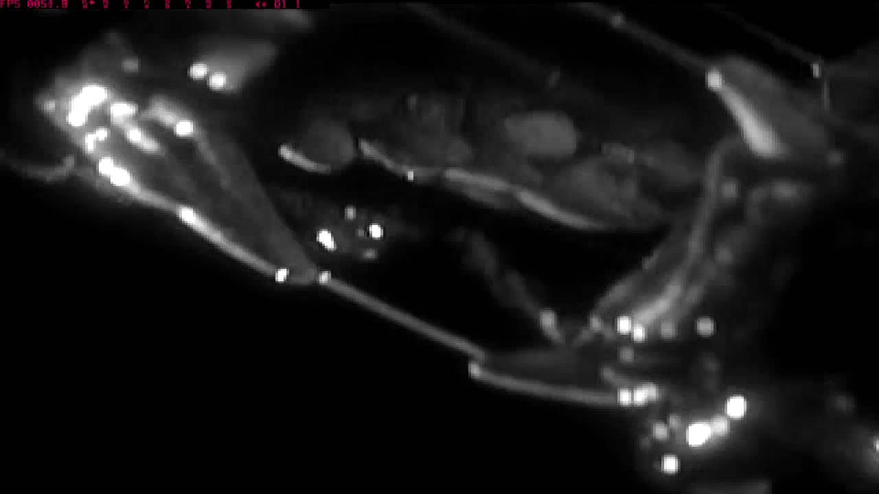 Resident Evil 1 Intro ( PC HD ) - YouTube