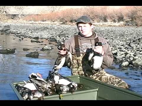 Columbia River Diver Duck Hunting - YouTube