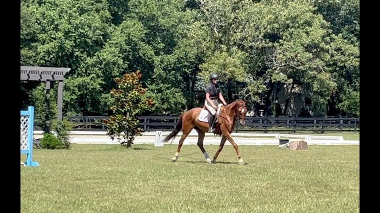 Debut VF First Field School - YouTube