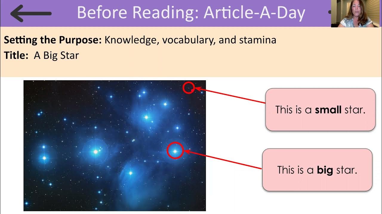 1.1 Unit 4 Grade 2 ENL Standalone - YouTube