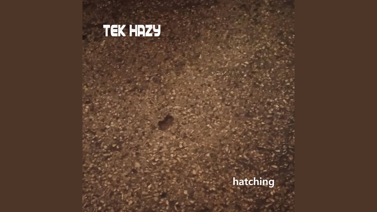 Hatching - YouTube
