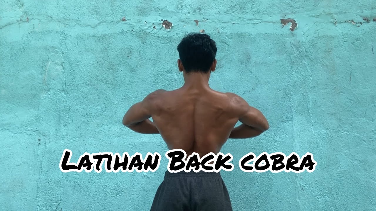 Latihan Back Cobra di Rumah - YouTube