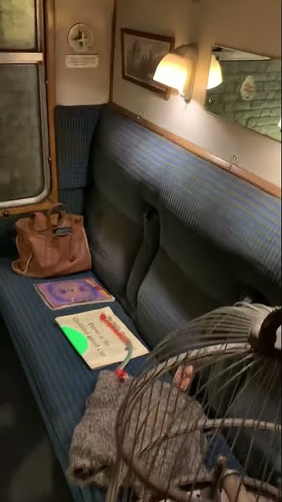 런던🇬🇧해리포터스튜디오투어🧙🏼 열차실내공개🚂 해덕은 진ㅉr안보면손해 🧙🏻‍♀️🧙🏼🧙🏼‍♂️해덕은 웁니다 ♥️ Harrypotter Forever ♥️ Youtube