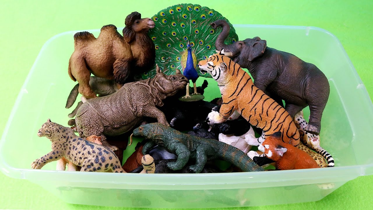 Asian Animal Figurines - Learn Animal Names - YouTube
