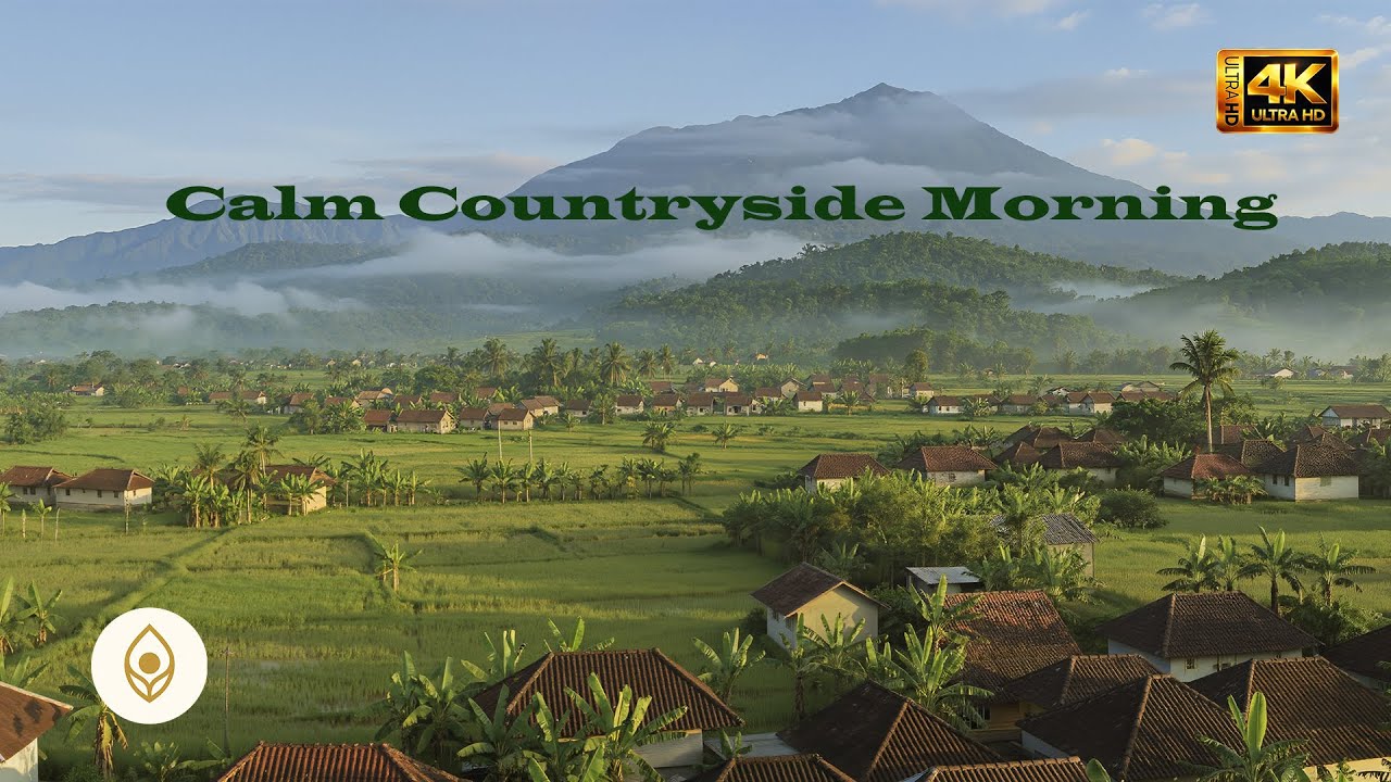 Calm Countryside Morning | Nature Ambience Sound – Focus, Sleep ...