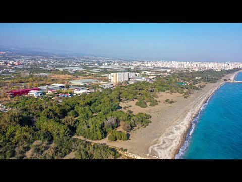 Tatilin Gözde Adresi Erdemli Çamlığı Bungalov ve Glamping