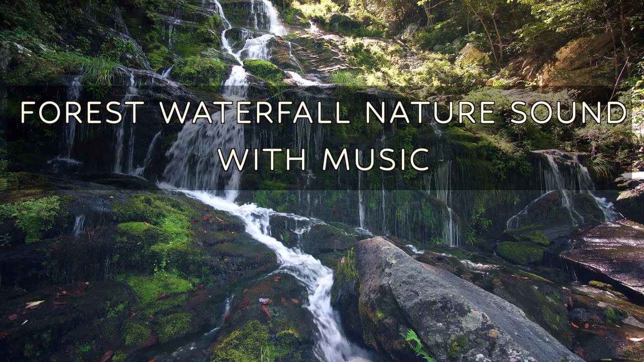 SLEEP IN 10MINS! Peaceful Forest Waterfall Nature Sound with Music for ...
