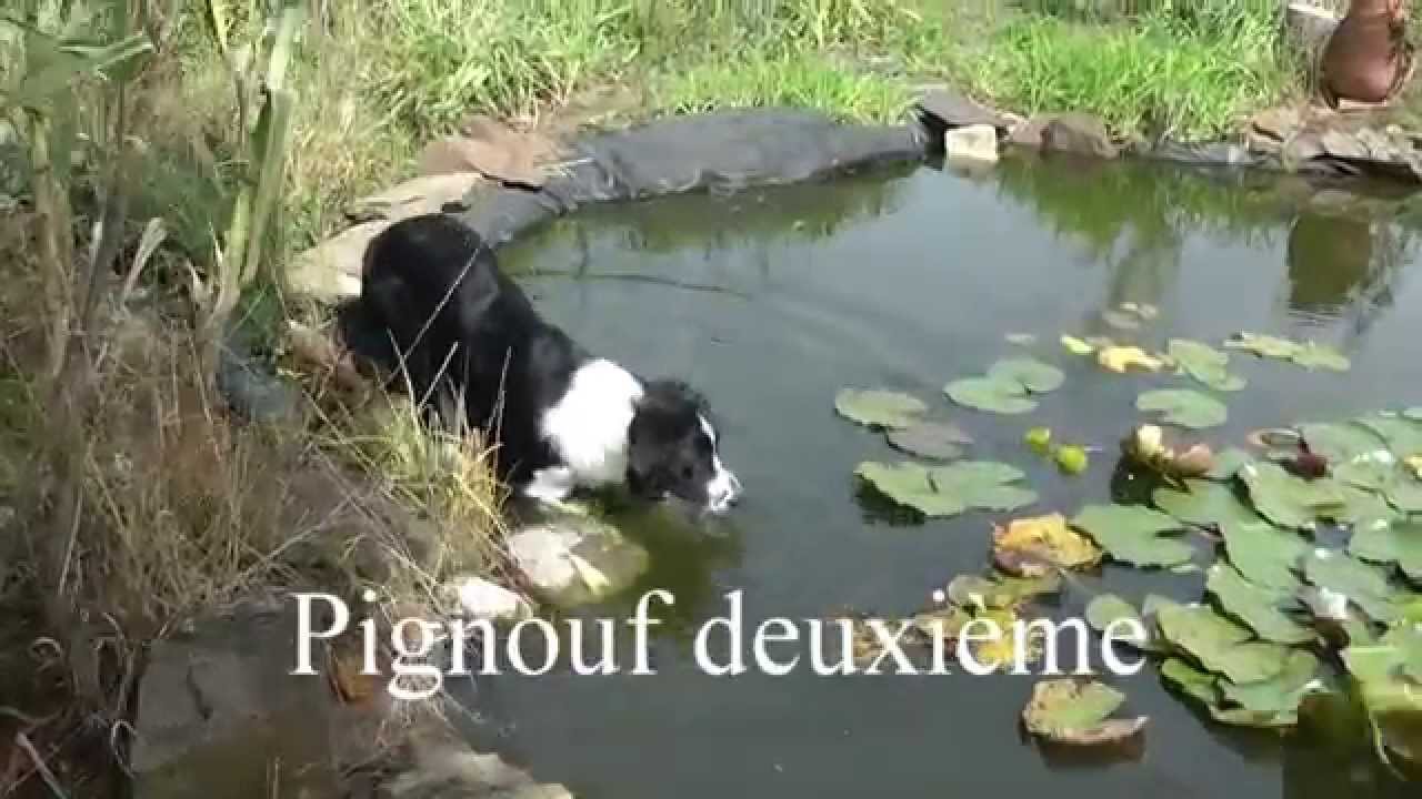 Pignouf - YouTube