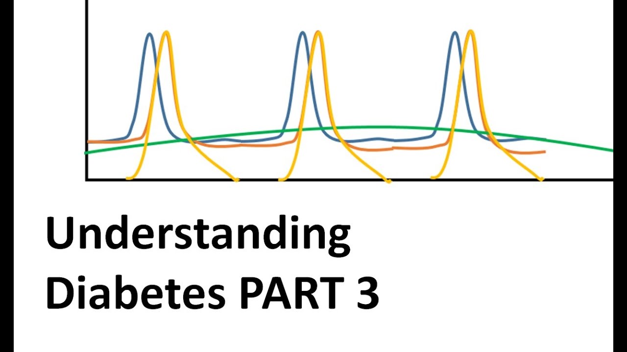 Understanding Diabetes part 3 of 3: Insulin regimens and practical ...