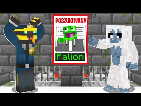 PALION JEST POSZUKIWANY PRZEZ YETIEGO w Minecraft! - YouTube