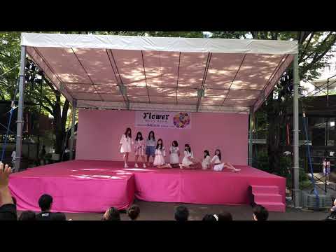 181007 Lovelyz (러블리즈) - Now, We (지금, 우리) dance cover by 学習院女子大学 K-POP DANCE HANA