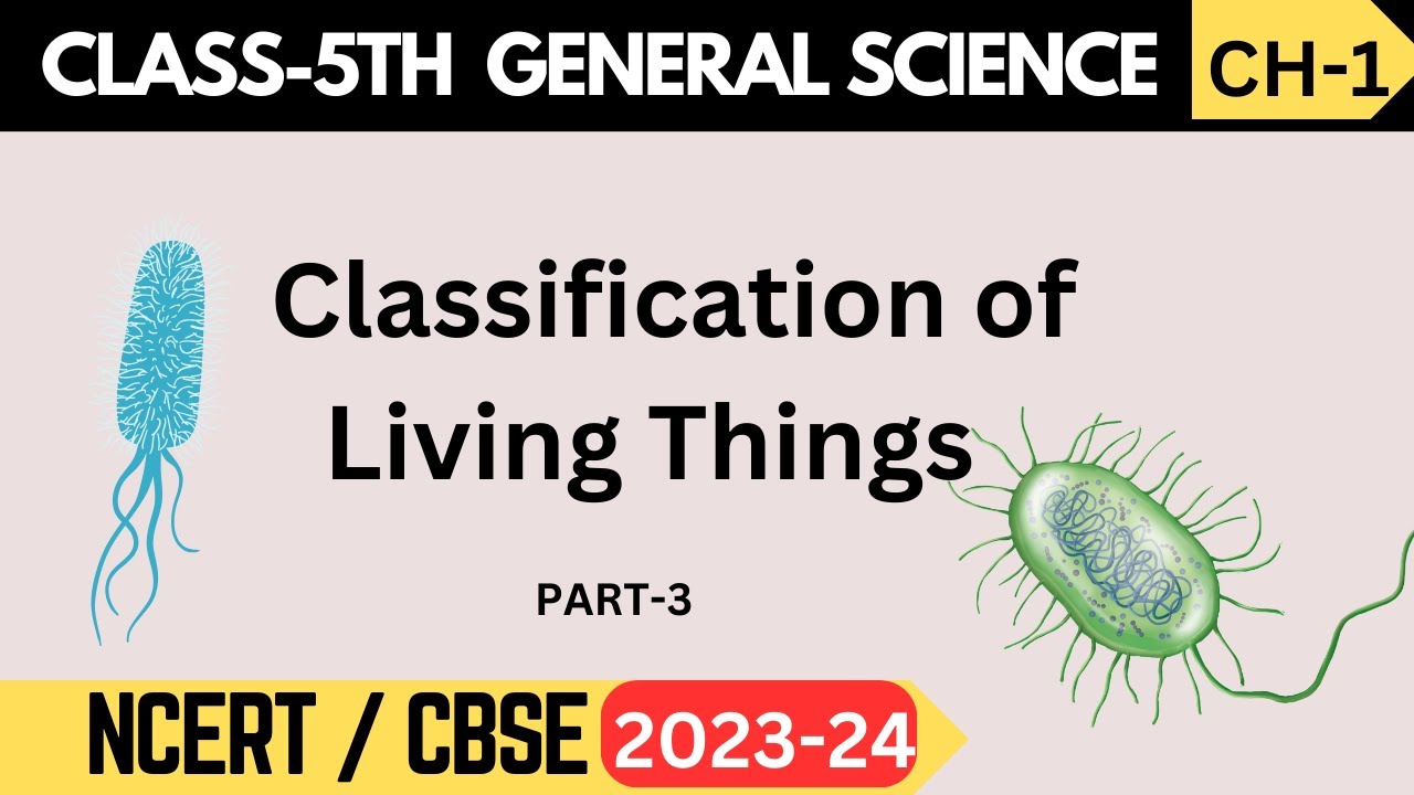 Class 5 General Science: Chapter 1 - Part 3 - YouTube