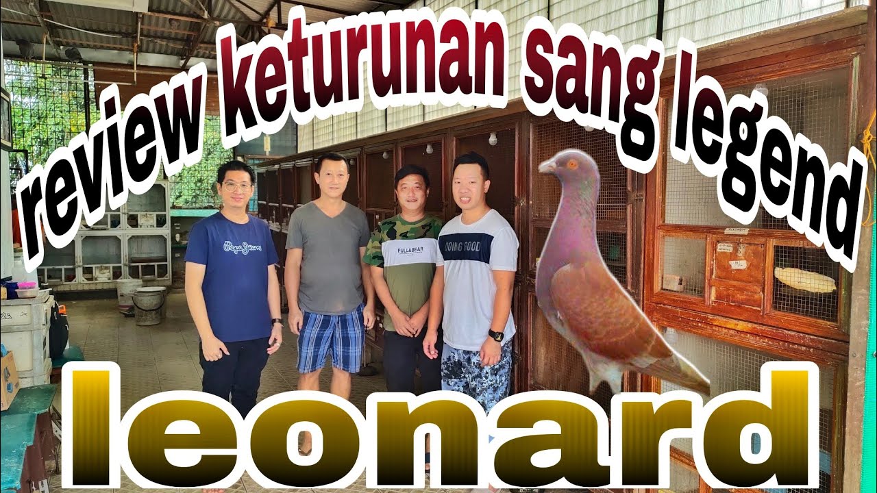 merpati balap trah leonard juara nasional 4 kali berturut turut - YouTube