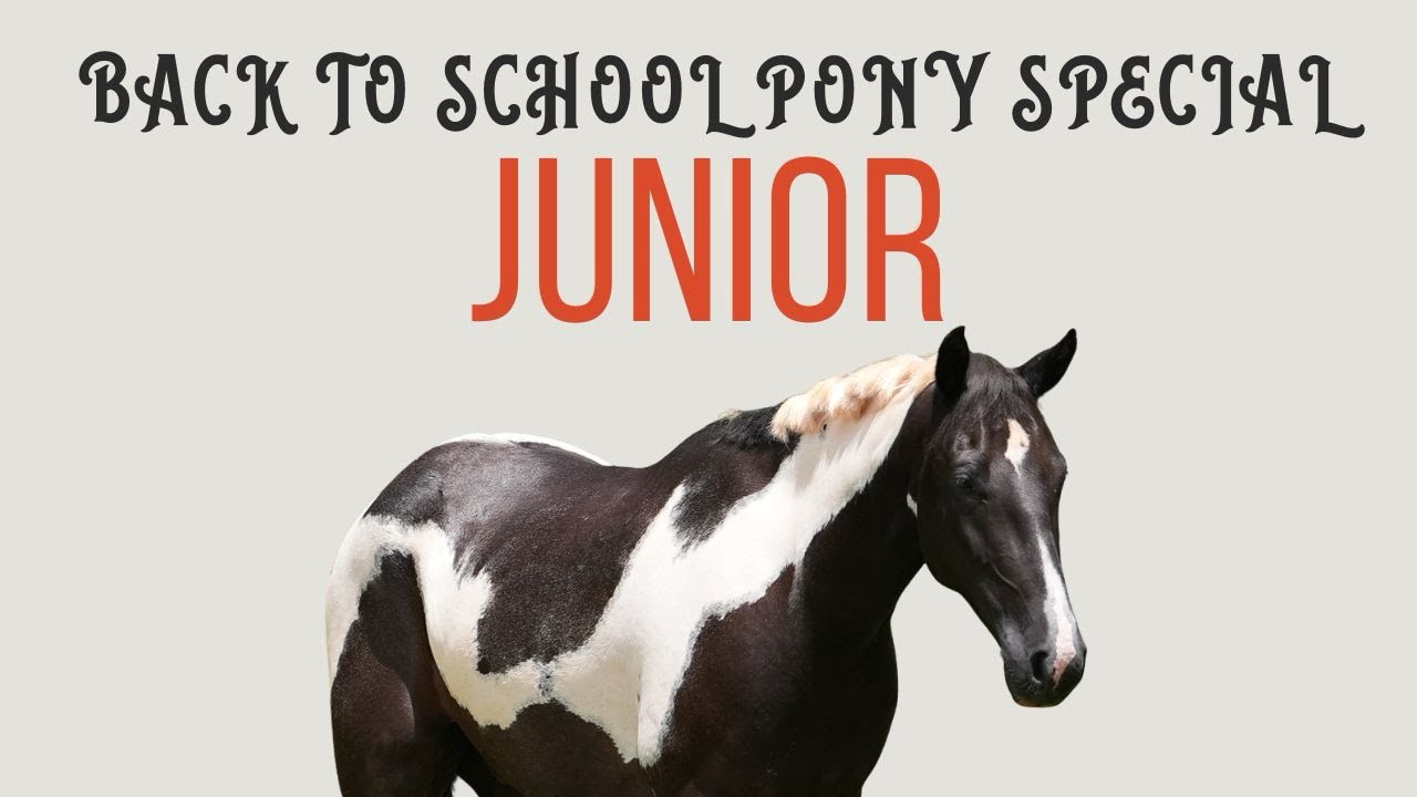 Junior - BACK TO SCHOOL PONY SPECIAL || Full Video - YouTube