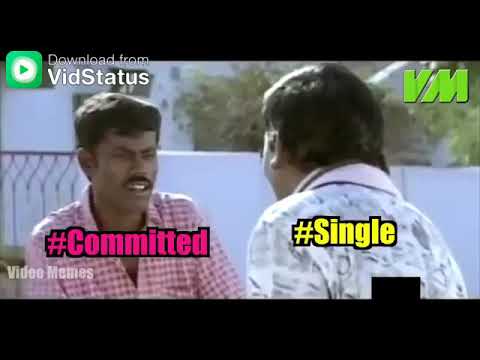 Single vs committed - YouTube