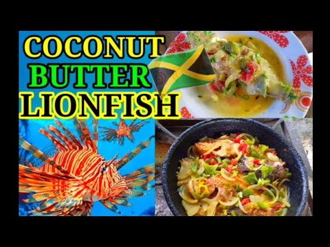 Clean And Cook VENOMOUS Lionfish // JAMAICAN Lionfish Recipe # ...