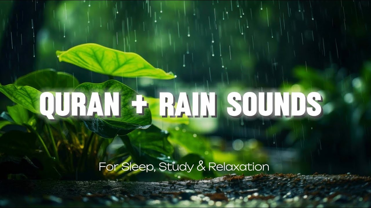 Quran with Rain Sounds | Quran For Sleep, Study & Relaxation - YouTube