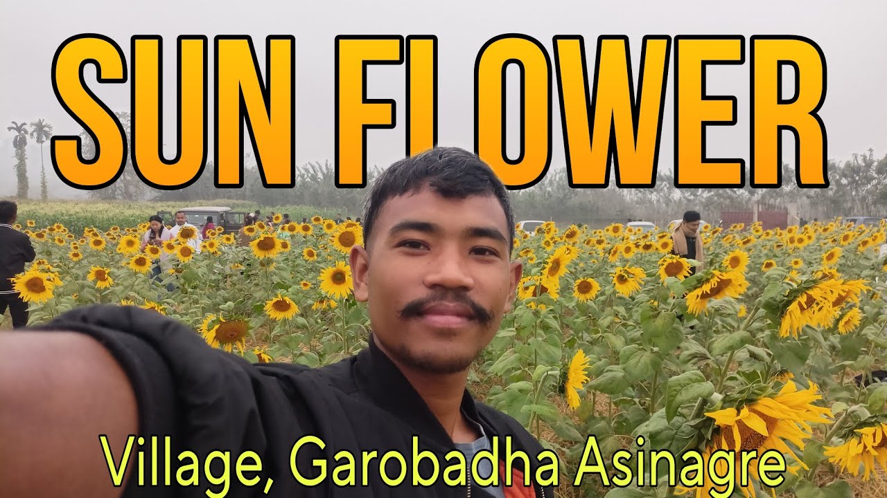 Sun Flower Bagan Village, Garobadha Asinagre.2 January 2025 - YouTube