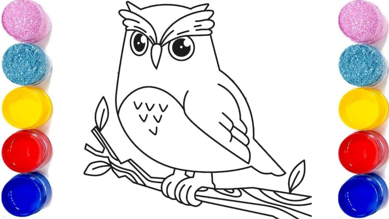 owl drawing, painting and colouring for kids | owl drawing colour | how ...