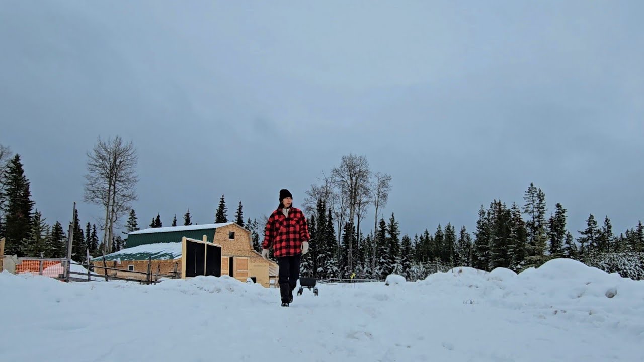 Winter Days on Our Remote Off Grid Homestead - YouTube