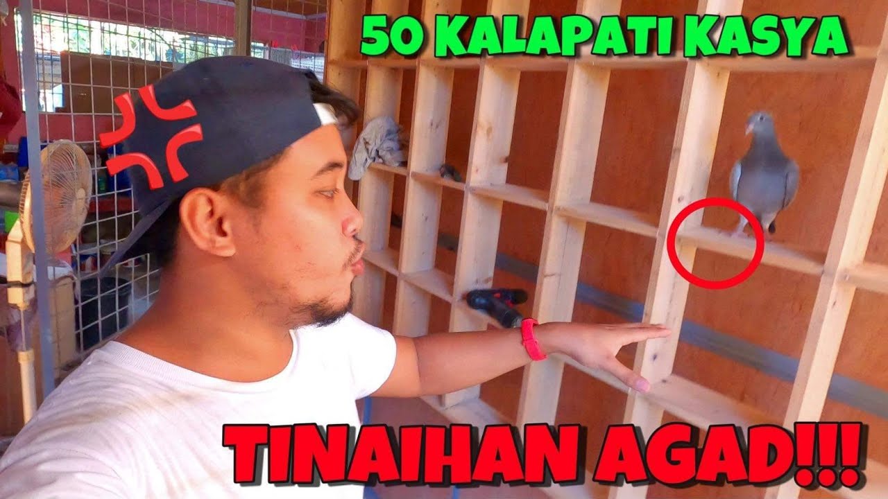 SUPER LUWAG NA KULUNGAN, PWEDE RING TULUGAN! KASYA KAYA KALAPATI NA ...