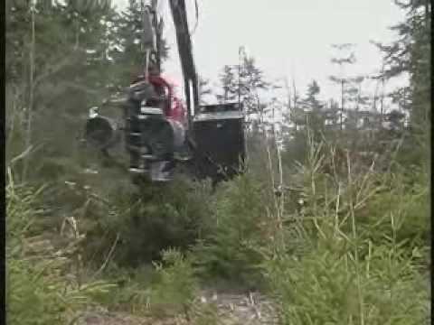 Feller Buncher Valmet 415EX - YouTube