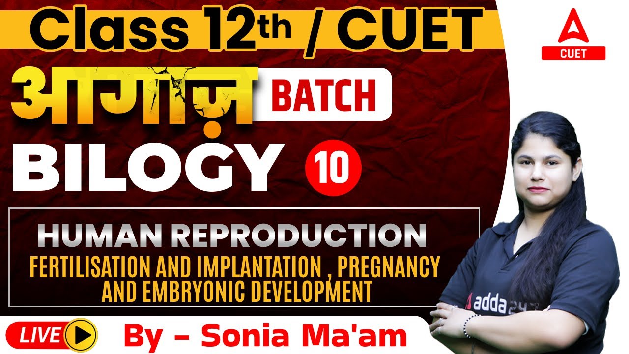 Fertilisation and Implantation , Pregnancy and Embryonic Development ...