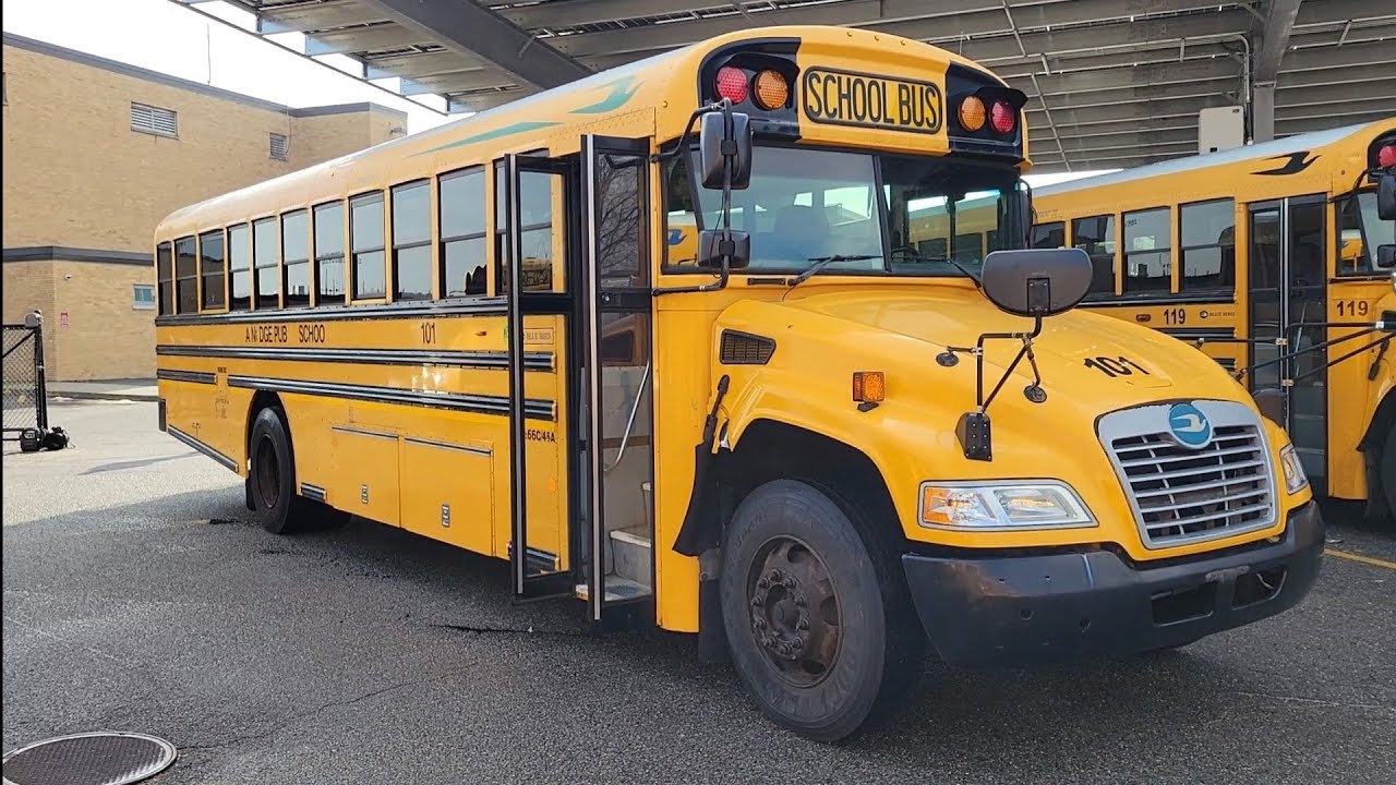 2015 Blue Bird BB Conventional School Bus - Auctions International ...