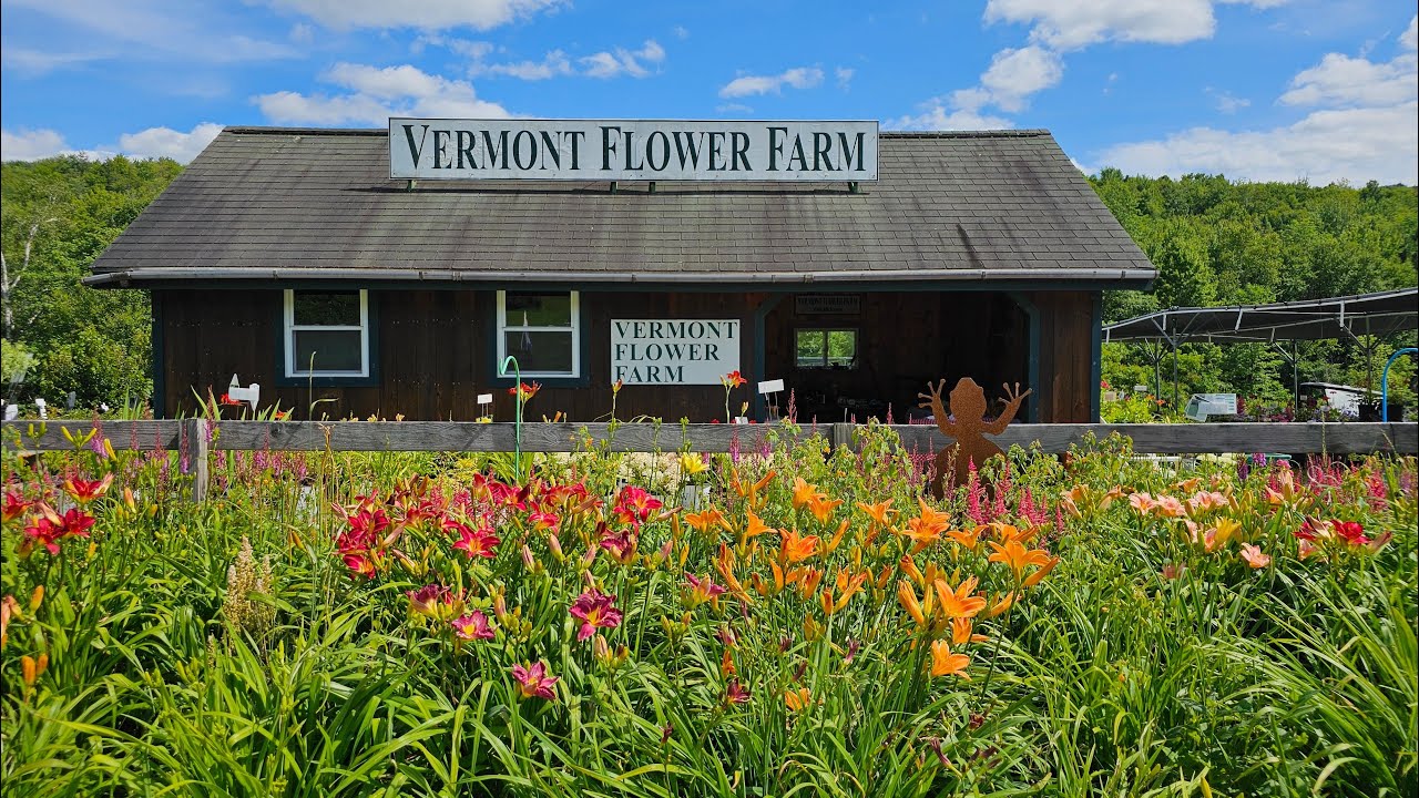 Vermont Flower Farm for Sale - Marshfield, VT - Active as of October 2 ...