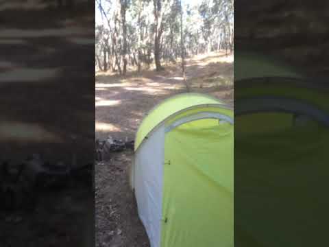 Gold Prospecting Yandoit Victoria (Best of both worlds)⛏😎(Episode 41)