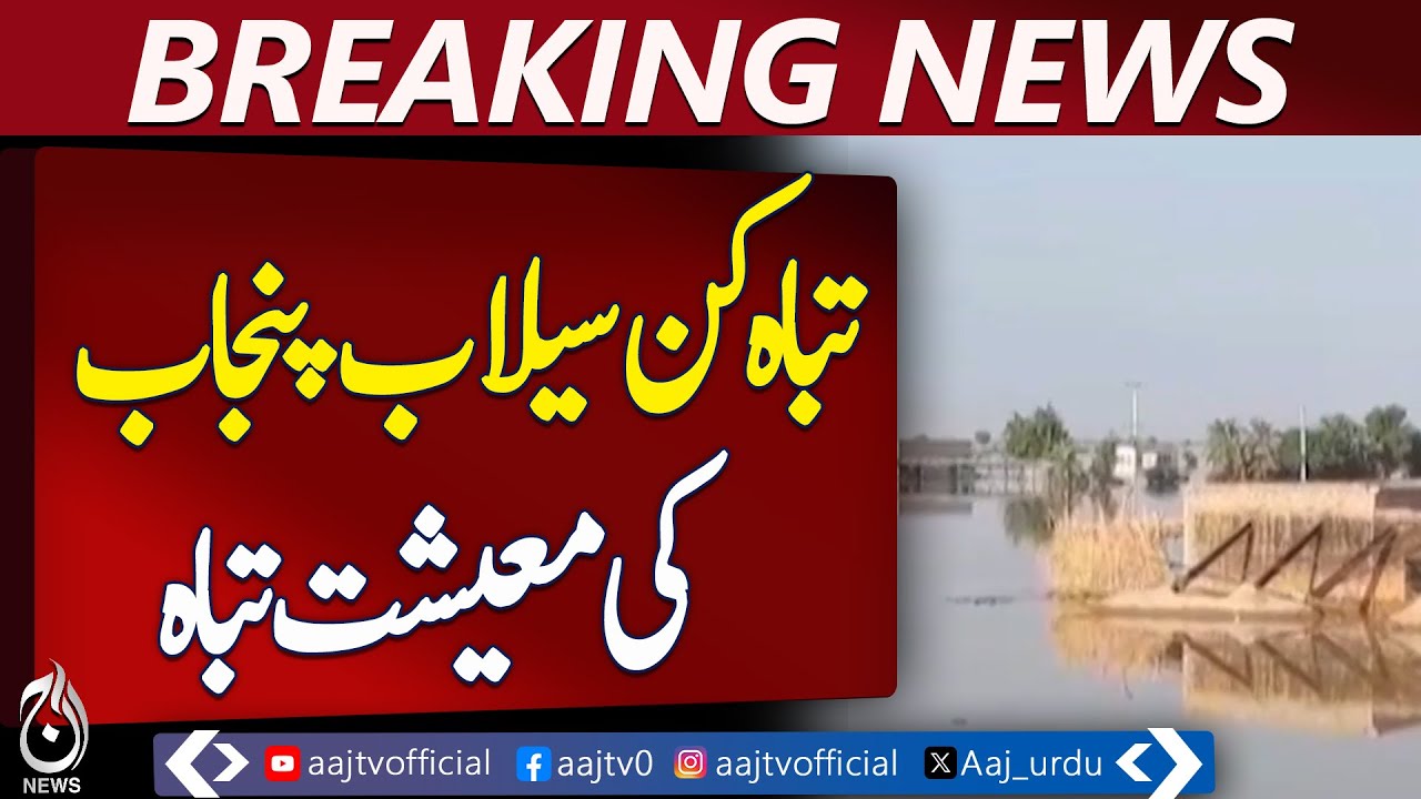 Devastating floods destroy Punjab economy completely - Pakistan news ...