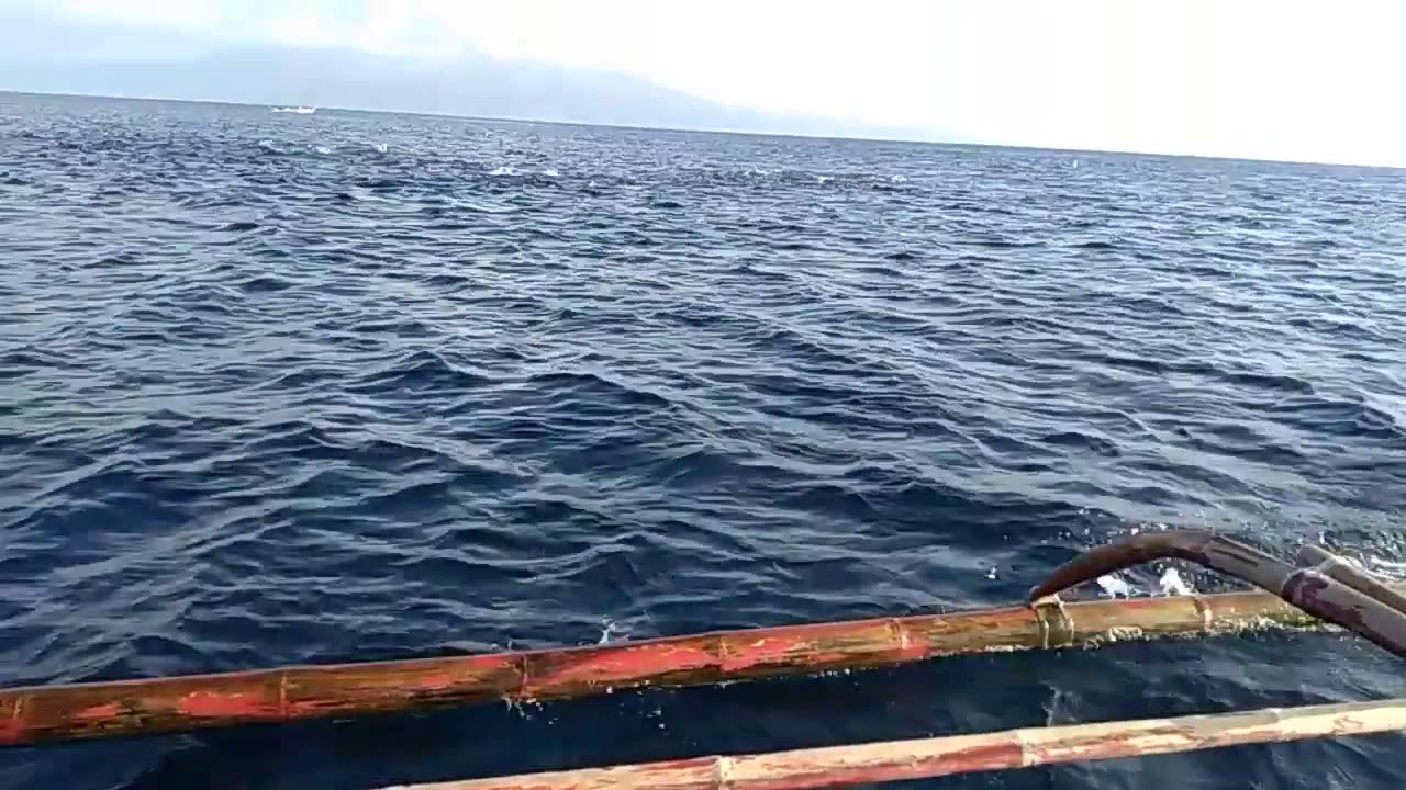 Gulyasan or skip jack fishing - YouTube