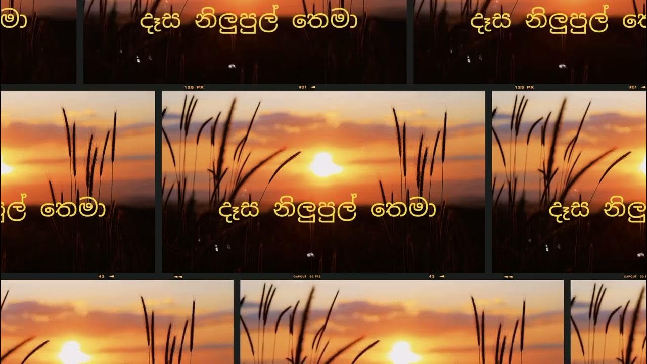 Desa Nilupul Thema Karoke_Gunadasa kapuge song - YouTube