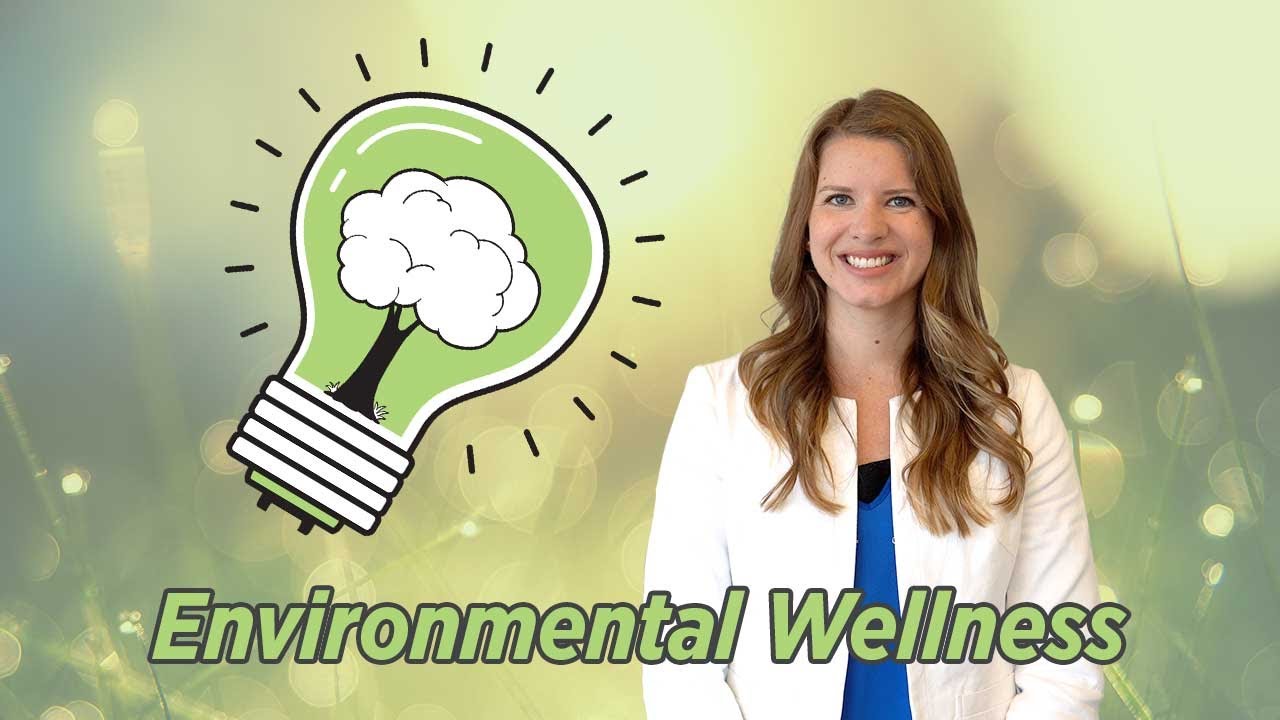 Shine Well's Dimension of Environmental Wellness - YouTube