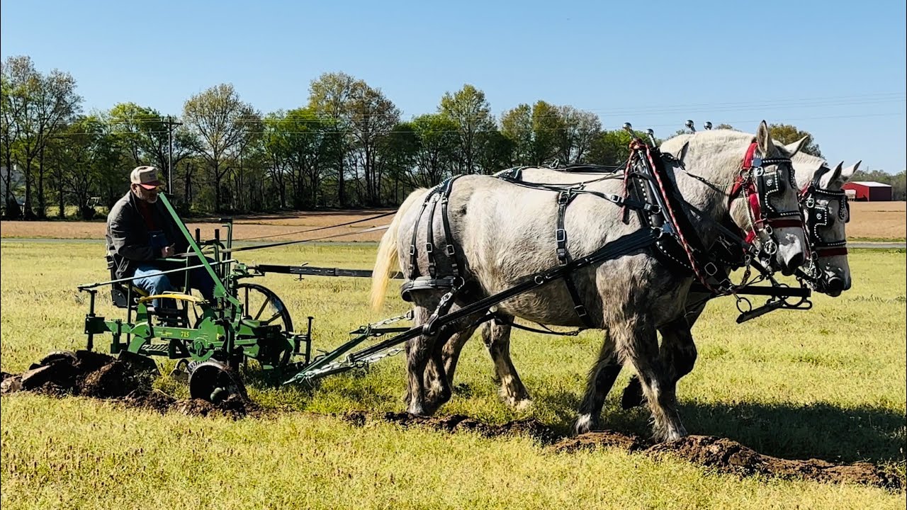 Walking plow tips! Mike Brewington Plow Day 2024 #102 - YouTube