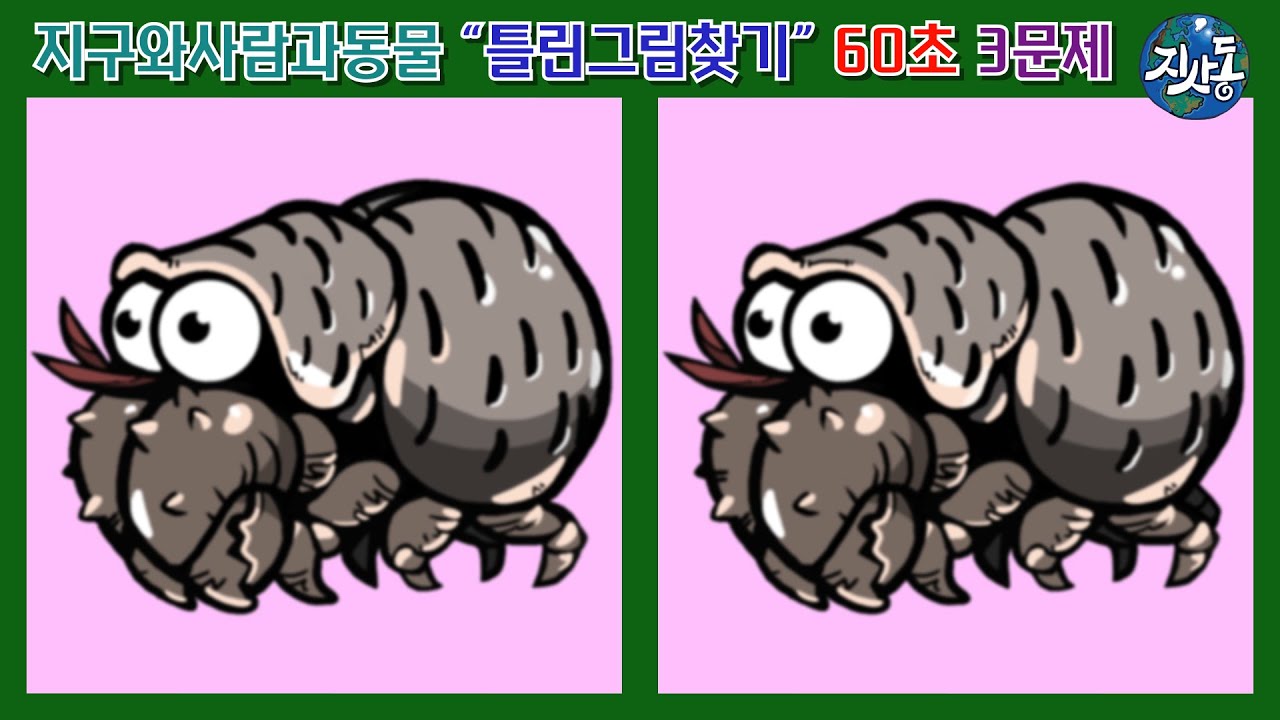 [🌛The Hidden Catch🌜] 틀린그림찾기 Ep66 #지사동 #동물 60초 동안 5곳 찾기 #두뇌운동 #집중력훈련 #동물 ...