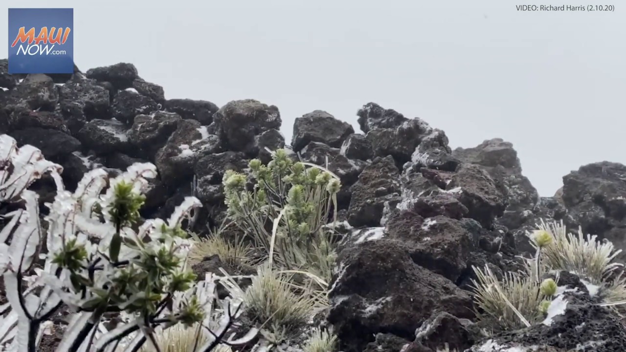 Maui Snow - Feb. 10, 2020 - YouTube
