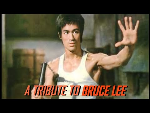🔥A Tribute to bruce lee 🔥| Bruce lee status | bruce lee the fighter ...