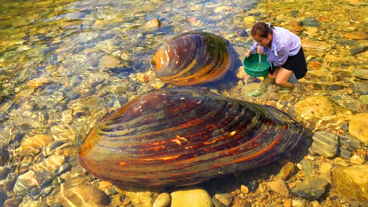 The girl found a group of clams in the clear water. When you open it ...