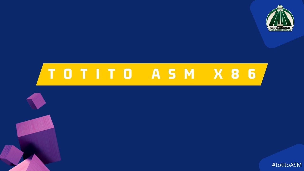 Totito ASM - YouTube