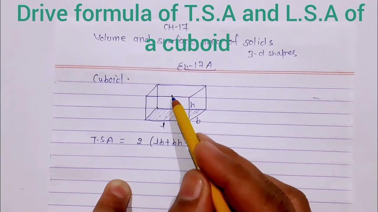 derivation of the formulas of TSA and LSA of a cuboid @ntrsolutions ...