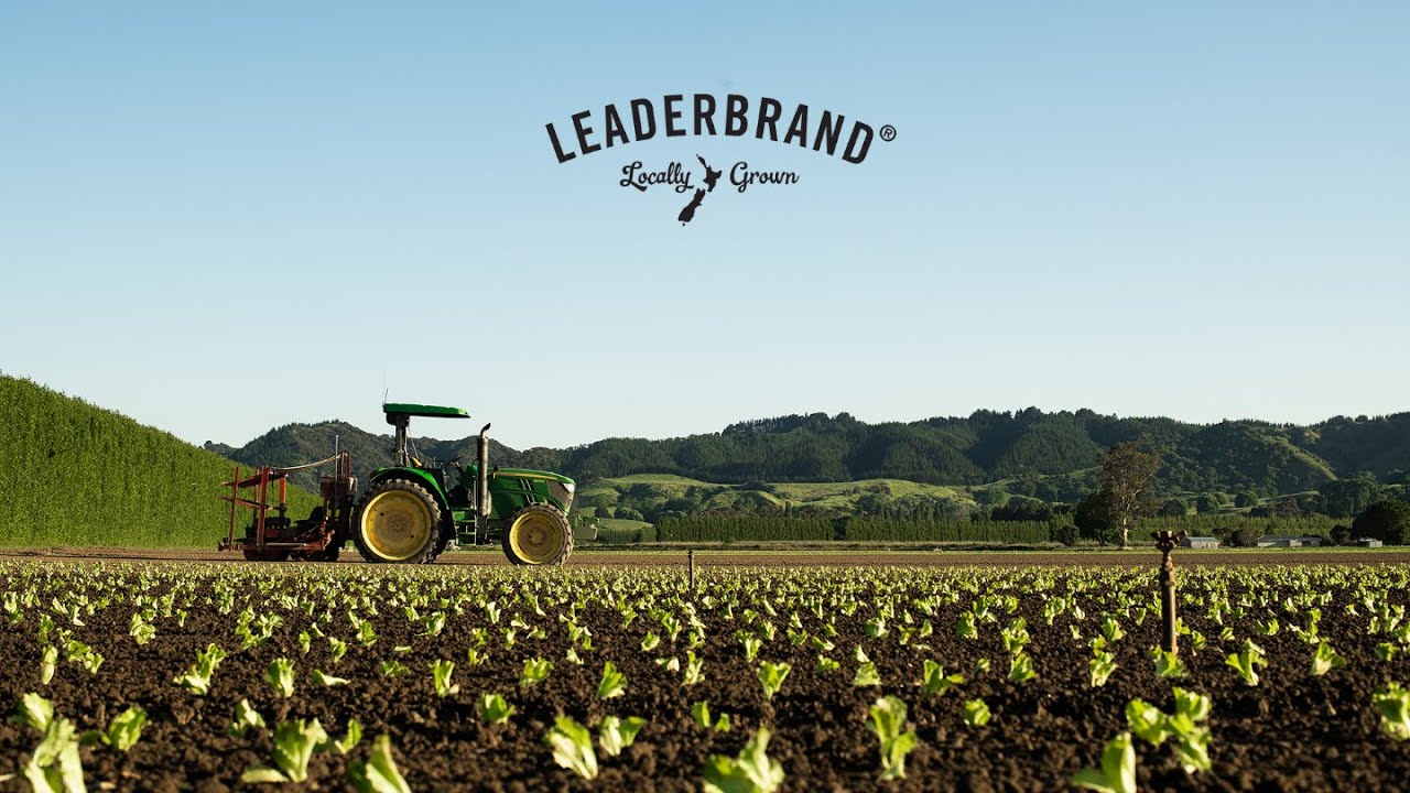 LeaderBrand Manifesto Video - YouTube