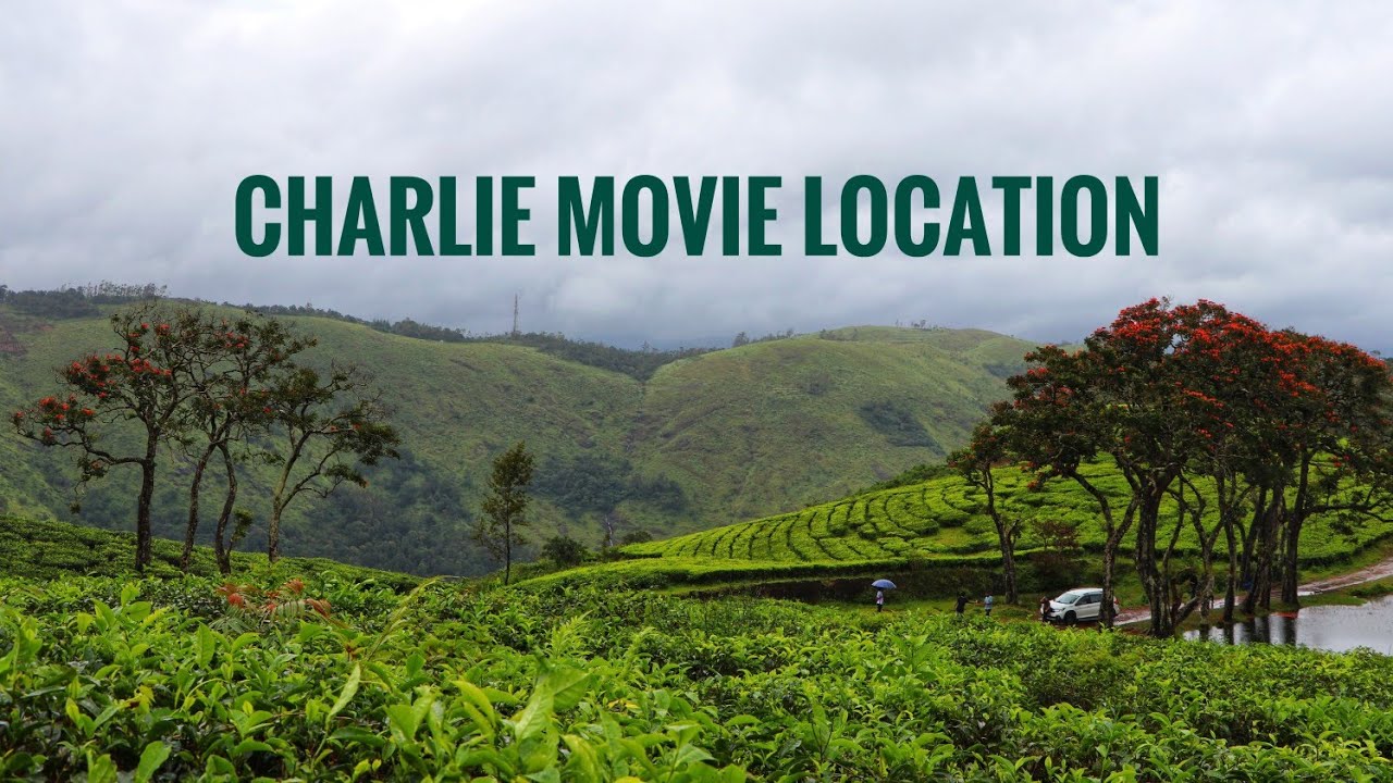 Parunthum Para | Charlie Movie Location | Landram Estate | Kuttikkanam ...