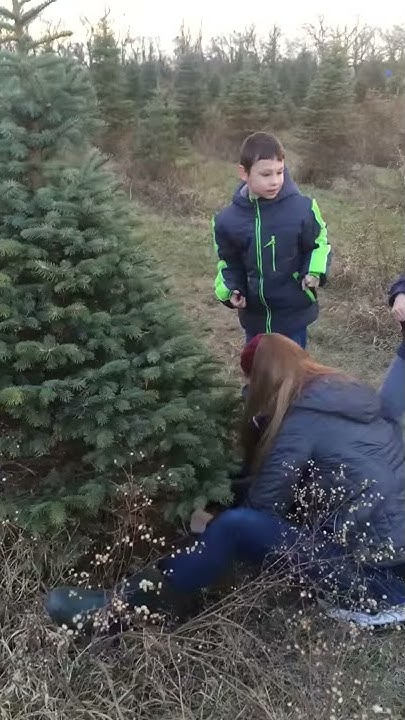 Cutting Down Our Christmas Tree Youtube